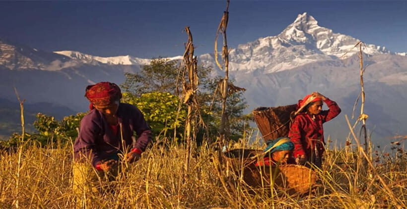Pokhara: Day Hiking to Australian Base Camp with Lunch - The Bottom Line