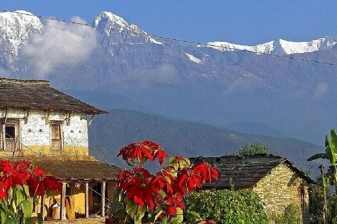 Pokhara: Dhampus Easy Trek for Families with YoungKids 2 Day Tour - The Practicalities