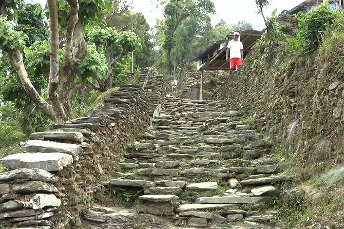 Pokhara: Dhampus Easy Trek for Families with YoungKids 2 Day Tour - FAQ