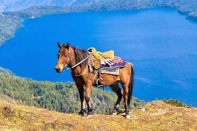 Pokhara: Horseback Riding Adventure with Hotel Pickup - An Honest Look at the Horseback Riding Tour