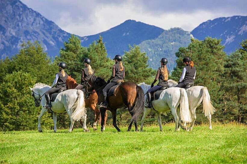 Pokhara: Horseback Riding Adventure with Hotel Pickup - Practical Tips for Participants