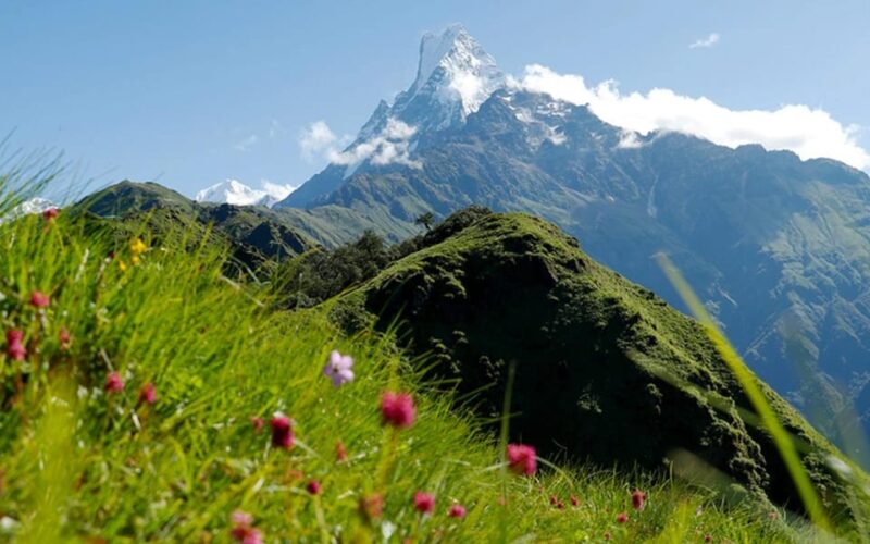 Pokhara: Mardi Himal Base Camp Helicopter Tour - Key Points