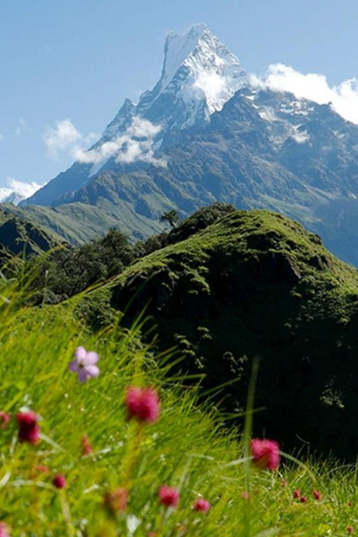 Pokhara: Mardi Himal Base Camp Helicopter Tour - The Sum Up