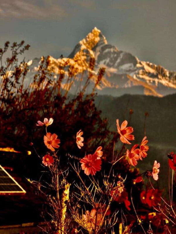 Pokhara: Mardi Himal Trek with 1 Night in a Forest Camp - Authentic Experiences and Practical Details