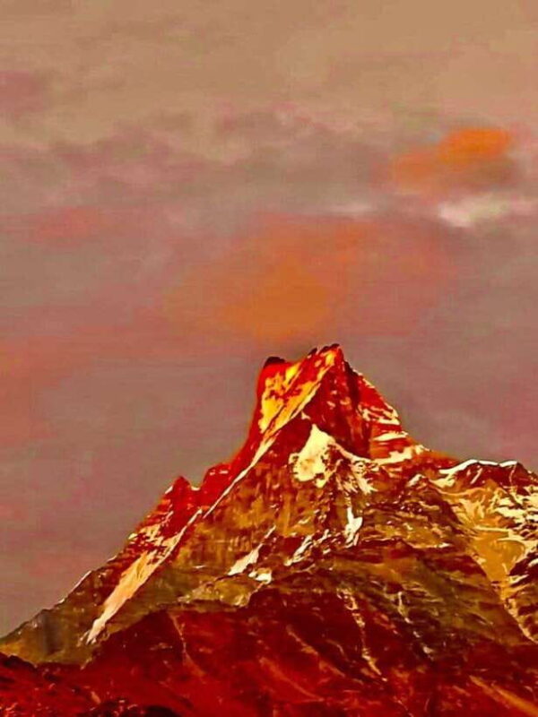 Pokhara: Mardi Himal Trek with 1 Night in a Forest Camp - In The Sum Up