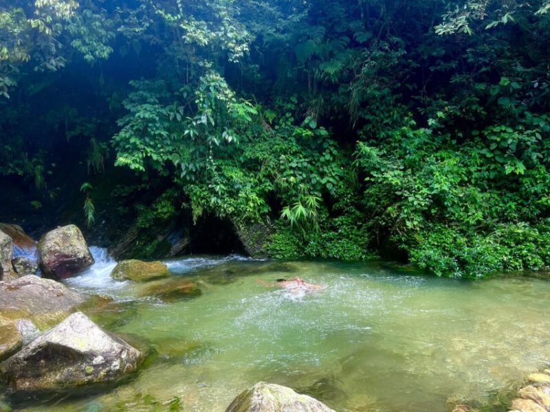 Pokhara: Natural Himalayan River Swim Experience Package - The Experience in Detail