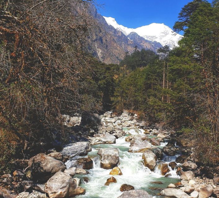 Pokhara: Natural Himalayan River Swim Experience Package - The Sum Up