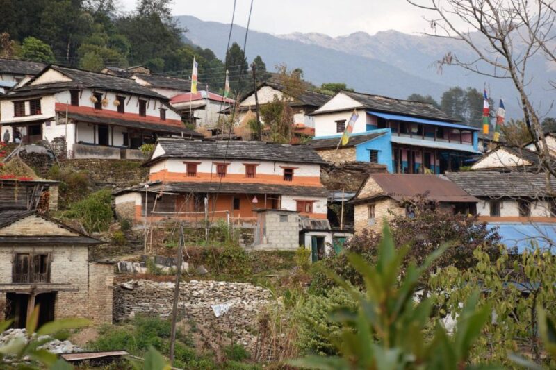 Pokhara: One Night Homestay Tour in Typical Lwang Village - Key Points