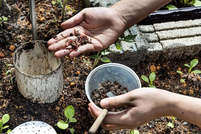 Pokhara: Organic Farm Tour and Cooking Class at Durku - Authenticity and Reviews: What Past Travelers Say