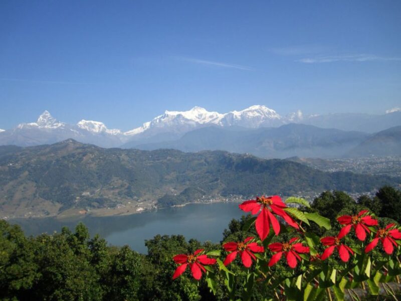 Pokhara: Private City Tour and Sarangkot Sunrise - Who Will Love This Tour?