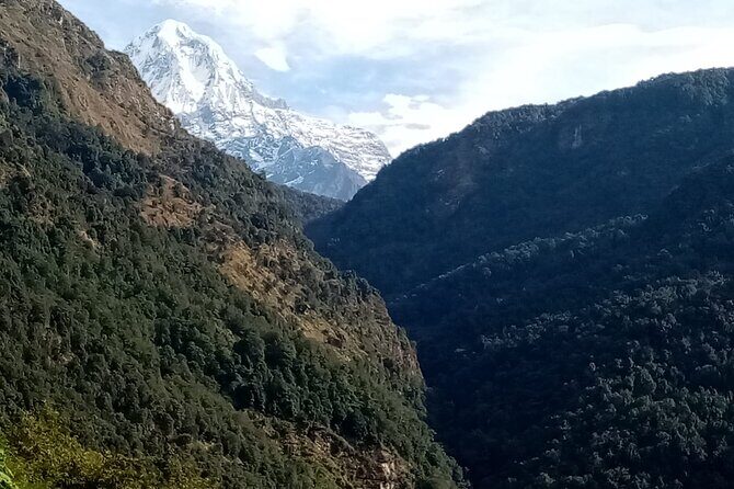 Pokhara Private Tour: 10 Days ABC Trek with Poon Hill - What’s in the Itinerary? A Step-by-Step Breakdown