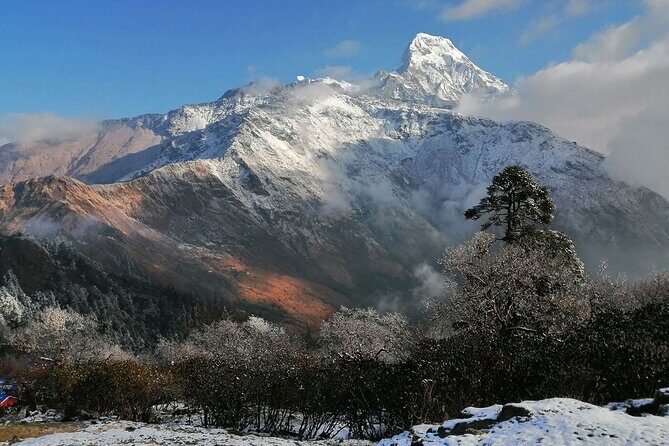 Pokhara Private Tour 2 Day Poon Hill Short Trek - The Itinerary in Detail