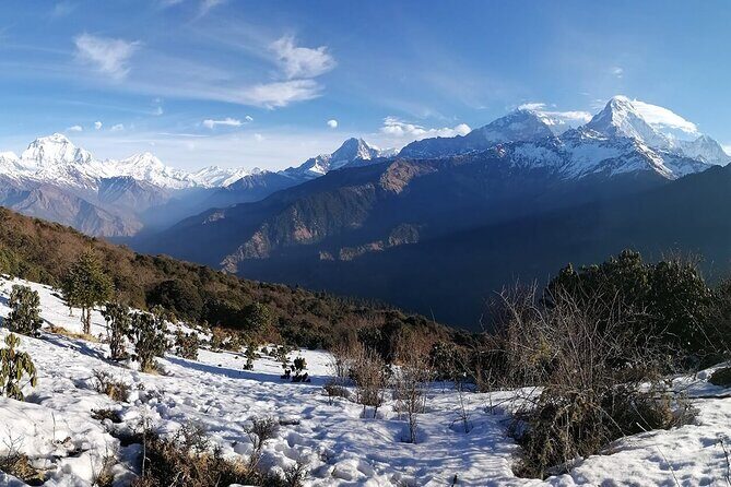Pokhara Private Tour 2 Day Poon Hill Short Trek - Authentic Experiences and Traveler Insights