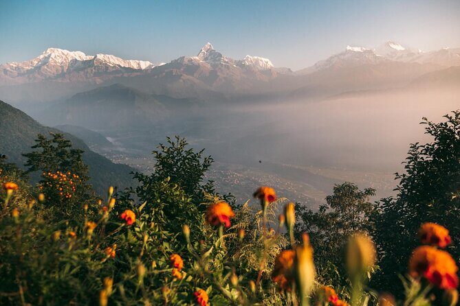 Pokhara Private Tour 5 Mountain View Point - Discovering the Best of Pokhara: The 5 Mountain View Point Private Tour