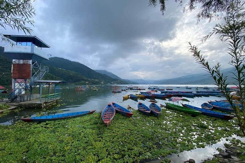 Pokhara: Pumdikot Shiva Idol Day Hike with Peace Stupa - Key Points