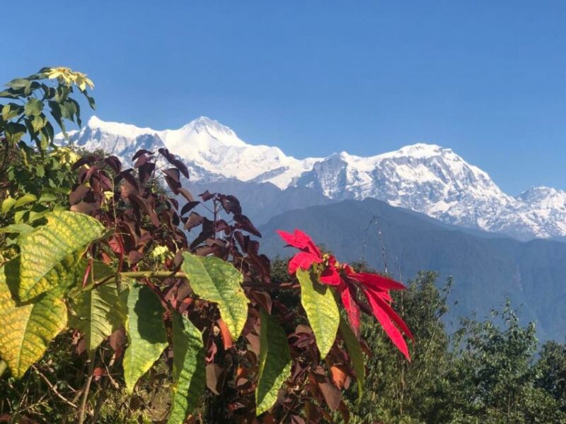 Pokhara: Sunrise Tour to Sarangkot - Visiting Bindhya Basini Temple and Final Drop-off