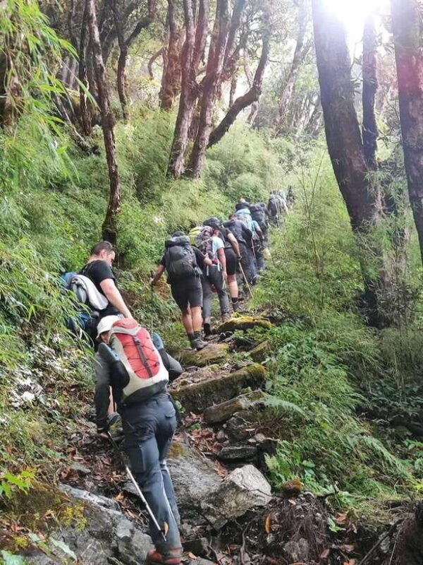 Pokhara: Time For Trekking to Mohare Hill & Poon Hill - Authentic Encounters & Scenic Highlights