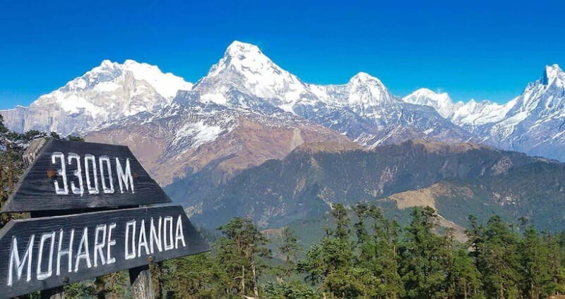 Pokhara: Time For Trekking to Mohare Hill & Poon Hill - Final Thoughts: Who is This Trek Perfect For?