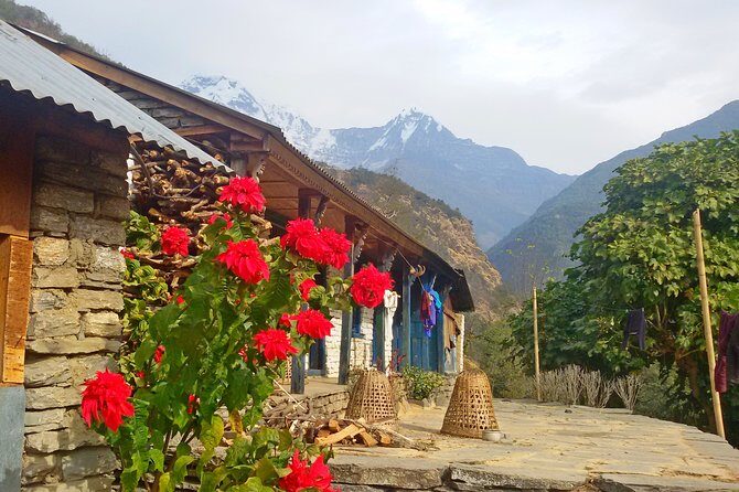 Pokhara Tour from Kathmandu and Short Annapurna Trek - The Practicalities: What’s Included and What’s Not