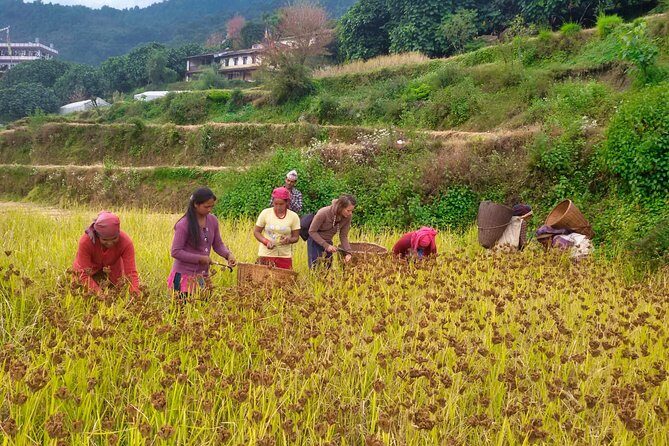 Pokhara Tour from Kathmandu and Short Annapurna Trek - Frequently Asked Questions