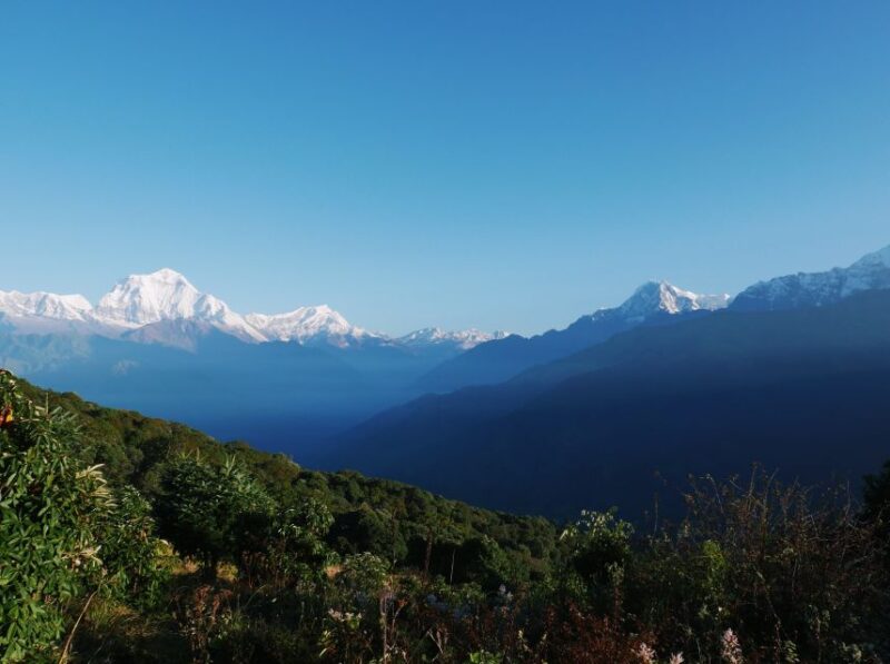 Pokhara:4-Day Ghorepani Poon Hill Guided Trek via Ghandruk - What’s Included and What’s Not