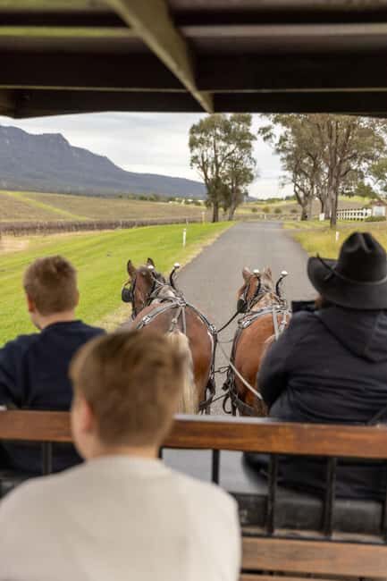 Pokolbin: Harvest the Hunter Horse Drawn Carriage Tour 3hrs - An In-Depth Look at the Harvest the Hunter Experience