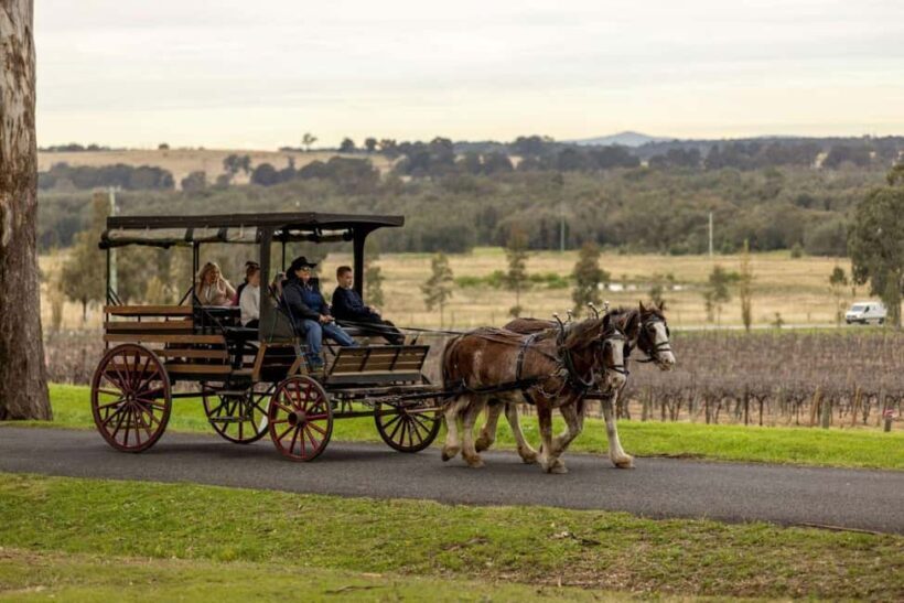 Pokolbin: Harvest the Hunter Horse Drawn Carriage Tour 3hrs - Practical Details