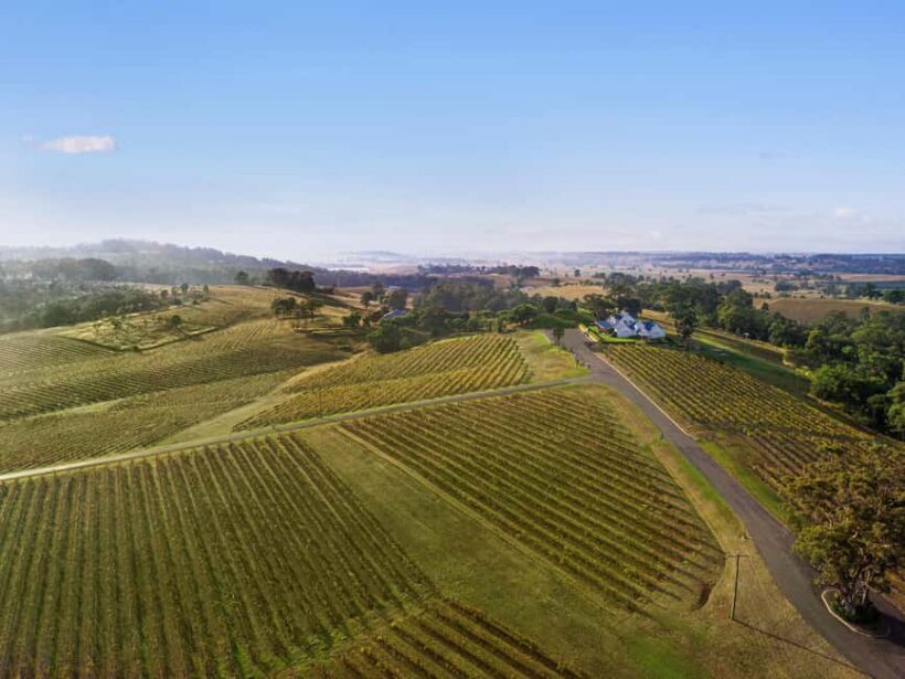 Pokolbin: Picnic & Wine Tasting at Audrey Wilkinson Vineyard - An Authentic Visit to Audrey Wilkinson Vineyard