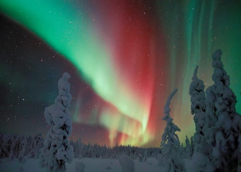 Polar Night Snowshoe Trek - Authenticity and Reviews