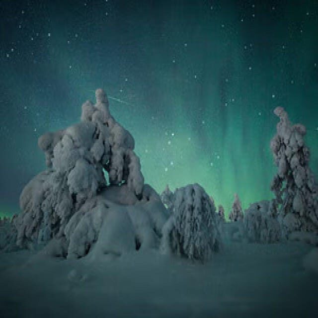 Polar Night Snowshoe Trek - FAQ