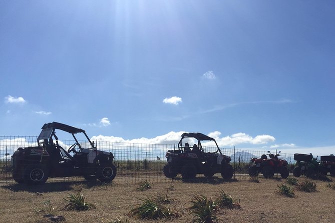Polaris Buggy 4-Hour Safari From Rethymno Town - Tips for an Enjoyable Safari Experience