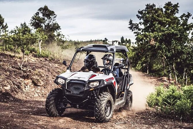 Polaris RZR Buggy Private Activity 4x4 - Accessibility and Participation