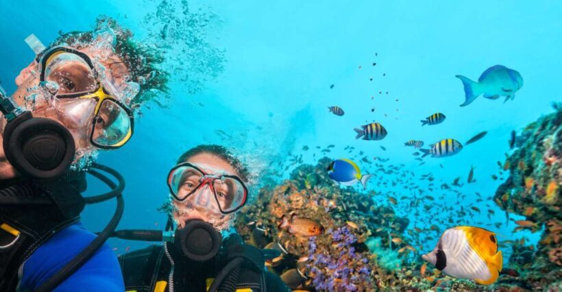 Polignano a Mare: Scuba Experience with certification - Key Points