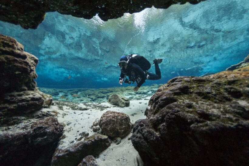 Polignano a Mare: Scuba Experience with certification - The Value of Guided Diving in Polignano a Mare
