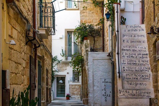 Polignano a Mare walking tour - Who Will Love This Tour?