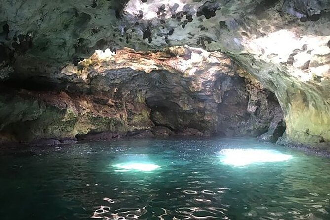 POLIGNANO by BOAT: Amazing Sea Caves and Free Drinks! - Highlights of the Experience