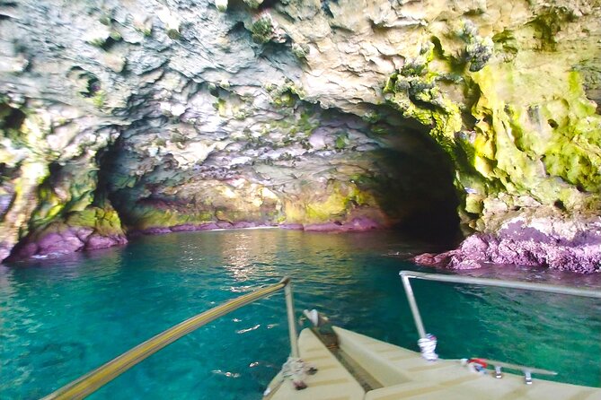 POLIGNANO by BOAT: Amazing Sea Caves and Free Drinks! - Captains and Boat Handling