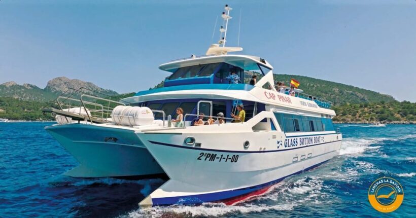 Pollença: Dolphin Watching Boat Excursion - The Sum Up