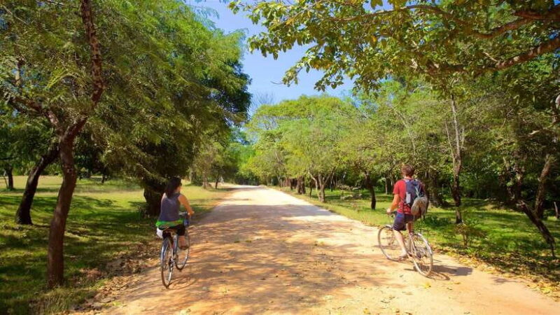 Polonnaruwa: All Inclusive Ancient City Guided Cycling Tour - Cycling Through History
