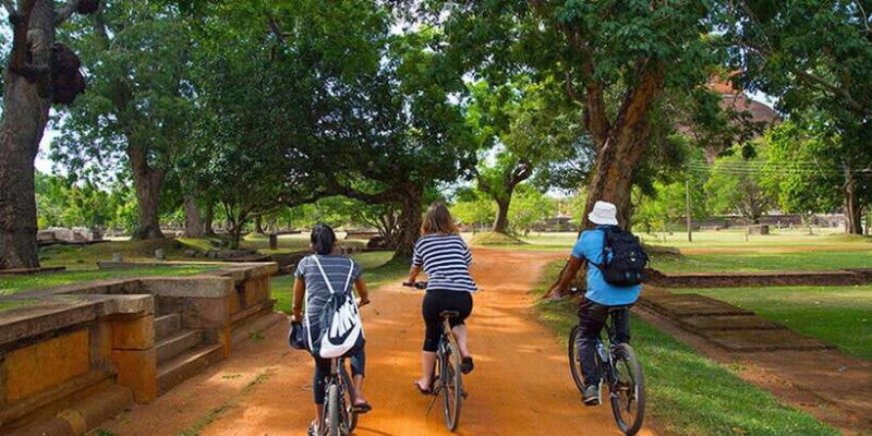 Polonnaruwa: All Inclusive Ancient City Guided Cycling Tour - The Experience: Authentic and Informative