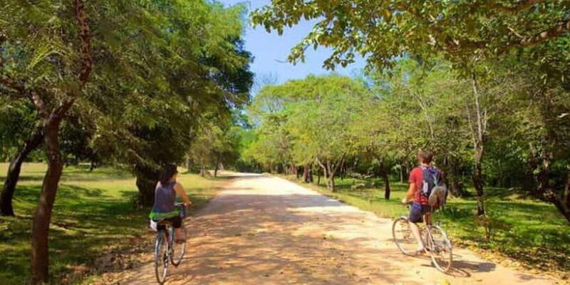 Polonnaruwa: All Inclusive Ancient City Guided Cycling Tour - What to Expect and How to Prepare