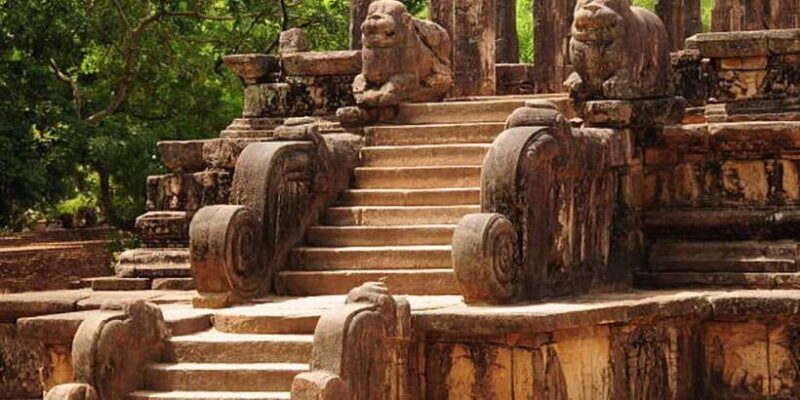 Polonnaruwa Ancient City Tour with Minneriya Elephant Safari - The Safari: Wild Encounters in Minneriya