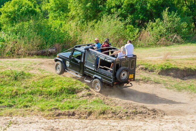 Polonnaruwa Ancient Kingdom and Wild Elephant Safari from Habarana - Key Points