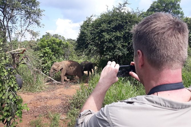 Polonnaruwa Day Tour with Lunch by Mahaweli - Value for Money and Overall Impression