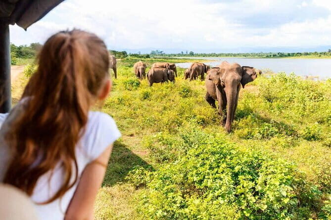 Polonnaruwa Unesco Ancient City And Elephant Safari Adventure - Why Choose This Tour?