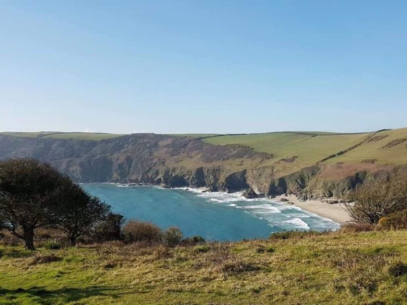 Polruan: Lansallos Coast Path Guided Walk - The Guide: Your Friendly Coastal Companion