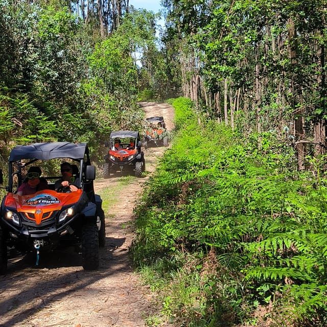 Pombal- Sicó: 60 minutes OFF-ROAD Buggy Ride - Key Points