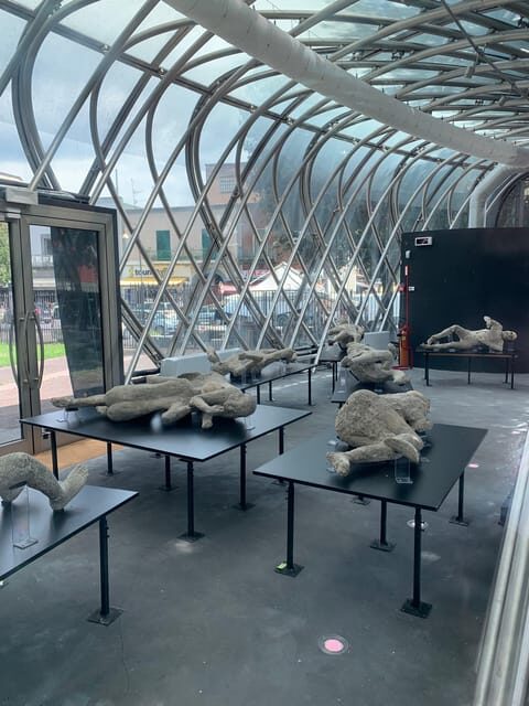 POMPEI AND HERCULANEUM PRIVATE TOUR - A Deep Dive into the Experience