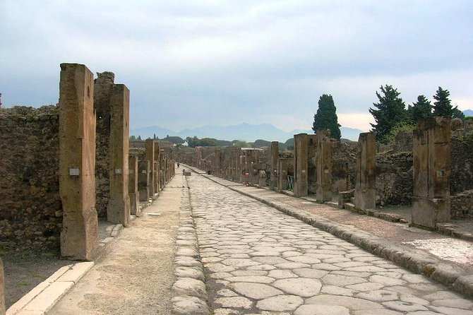 Pompei Archeological Site and Wine Tasting Experience - Age and Accessibility Requirements