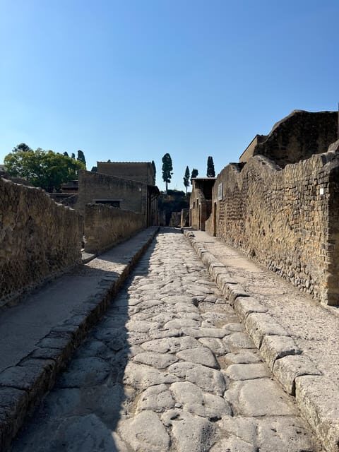 Pompei Guided Tour in Shared Formula - The Value of a Licensed Guide